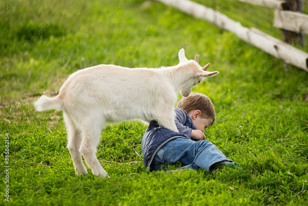 a kid hurt a boy, a little white kid jumps, a boy fell, green grass ...