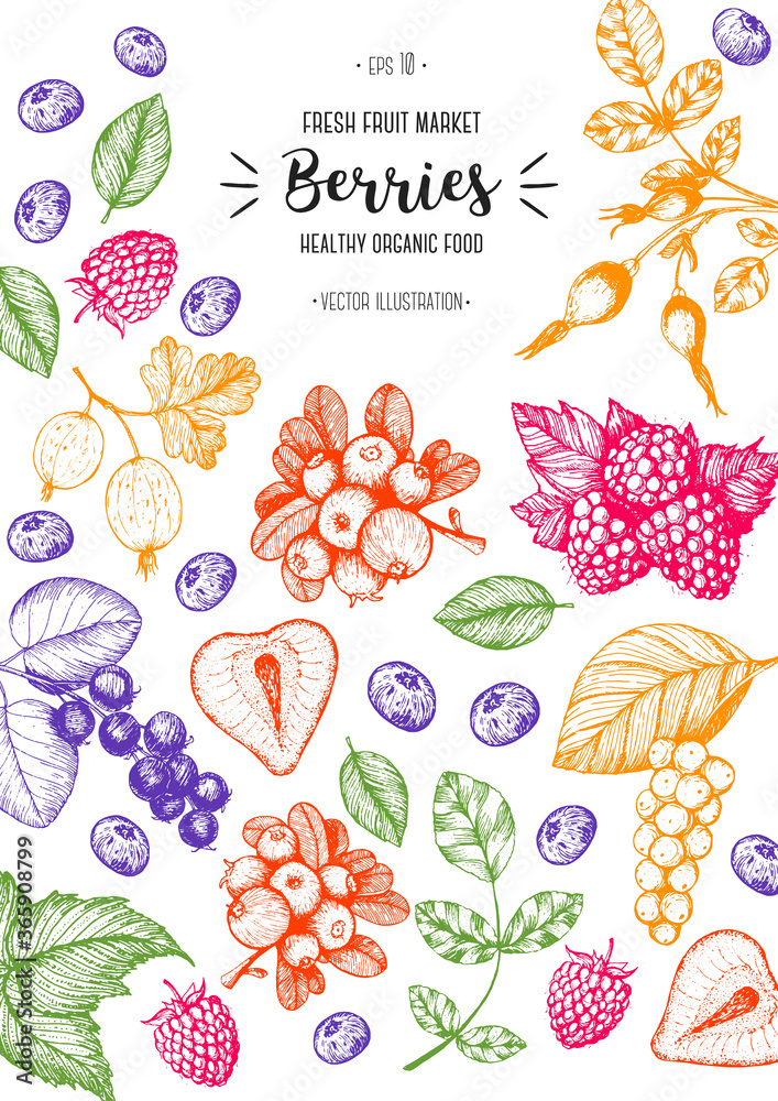 Berry hand drawn vector illustration frame. Hand drawn sketch ...