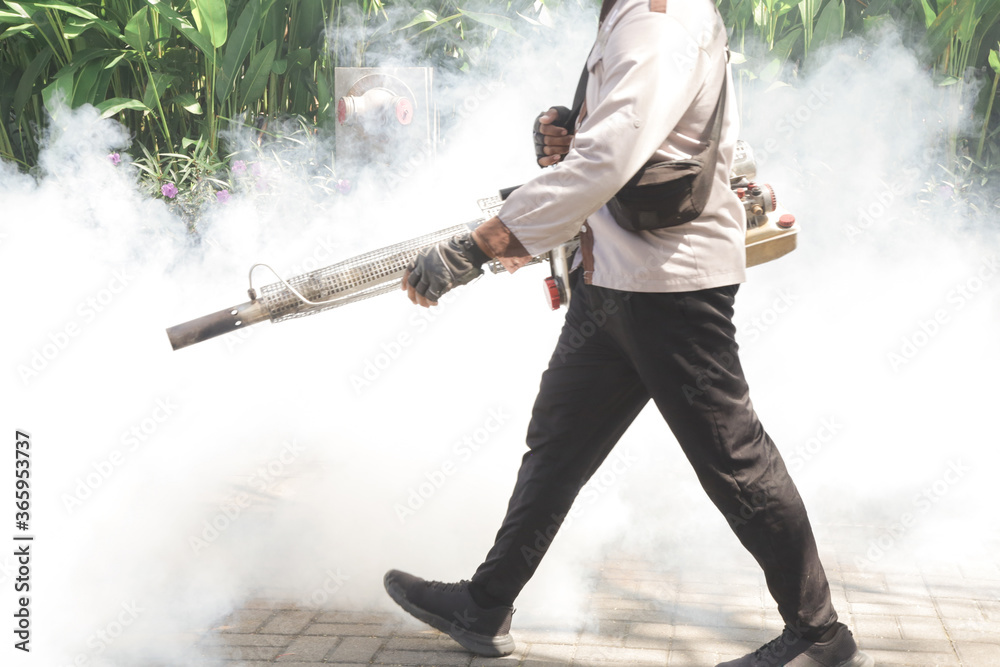 Mosquito Fogging Operation at Declan Sheean blog