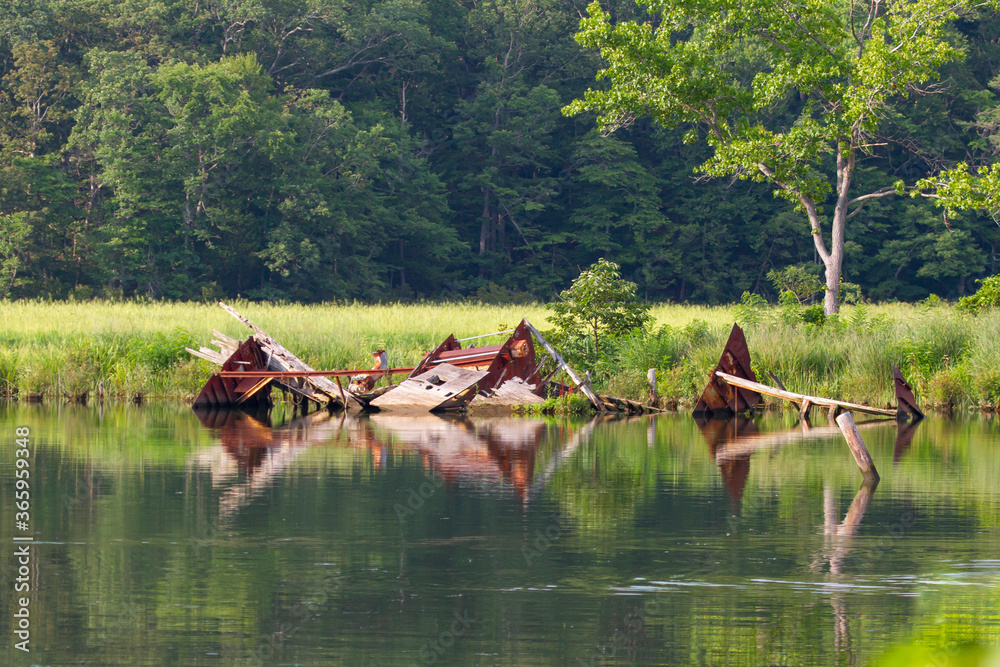 Foto de Close up view of a shipwreck in Mallows Bay of the Potomac ...