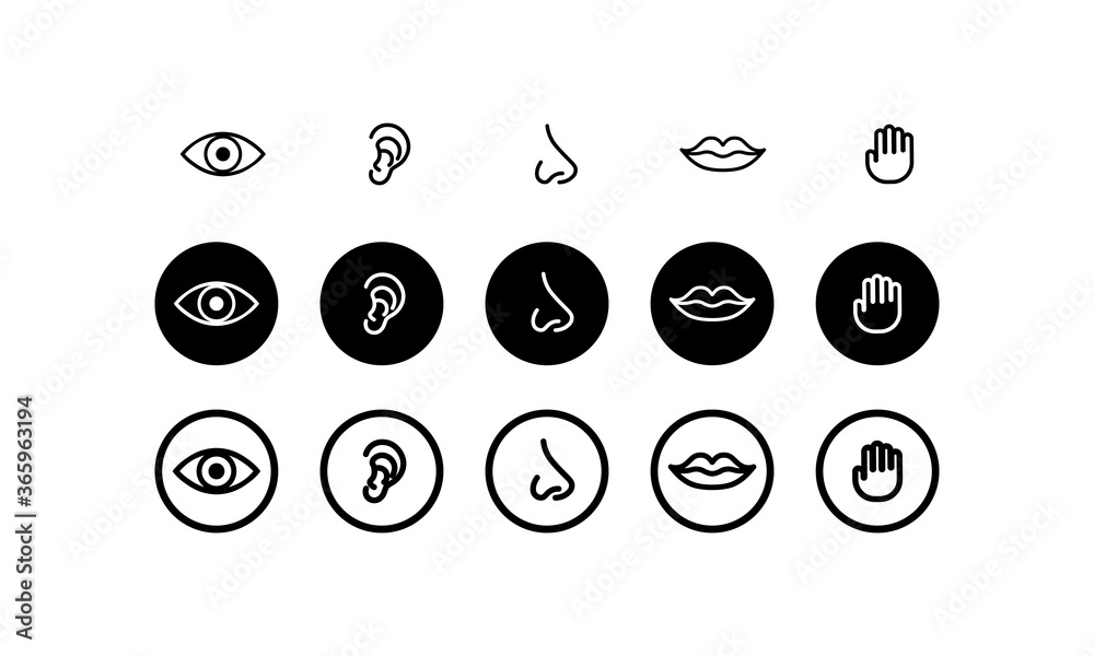 Five human senses. Hearing, smell, sight, taste and touch. Vector on ...