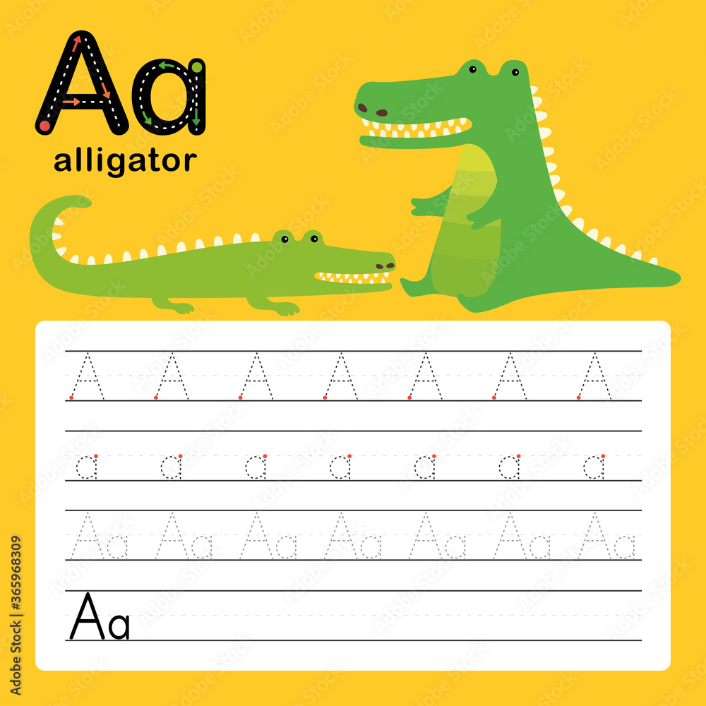 A, ALLIGATOR, Alphabet tracing worksheet for preschool and kindergarten ...