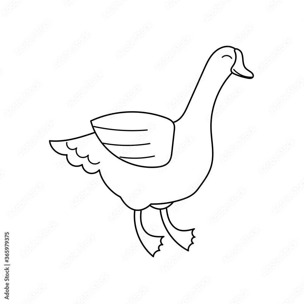 Cute contour doodle goose. Goose liver, foie gras. Farm animals and ...