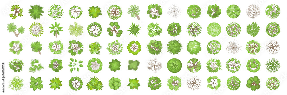 Trees top view. Different plants and trees vector set for architectural ...