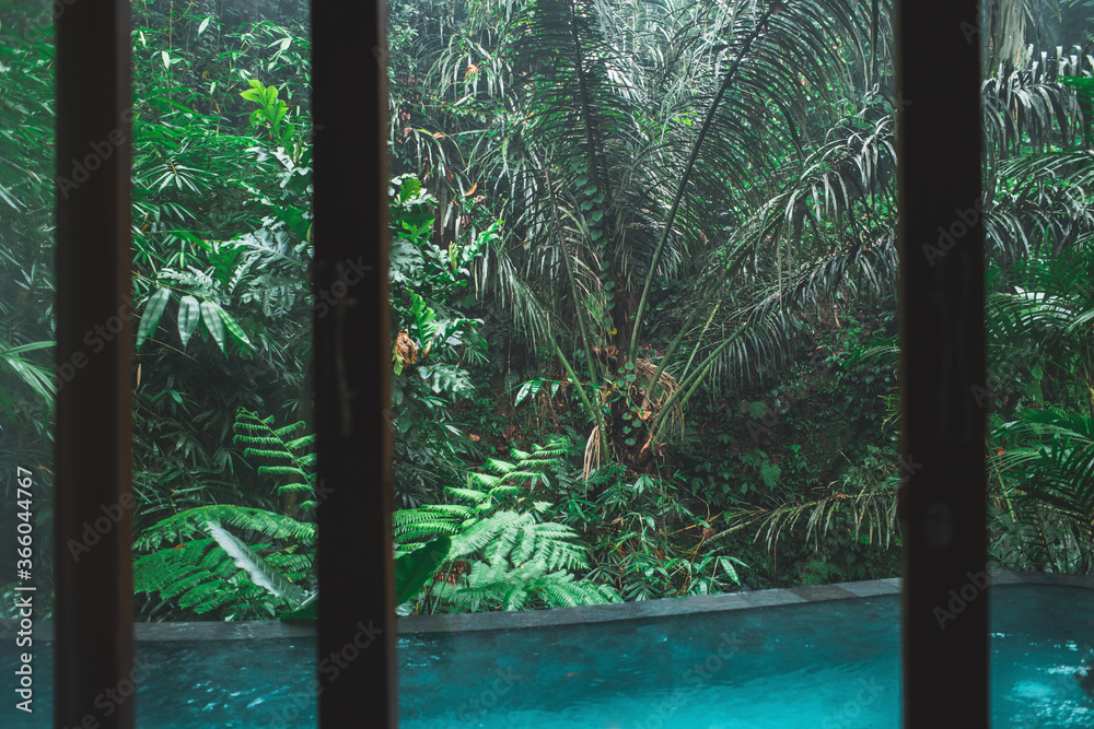 Amazing jungle view from hotel room with private swimming pool. Luxury ...
