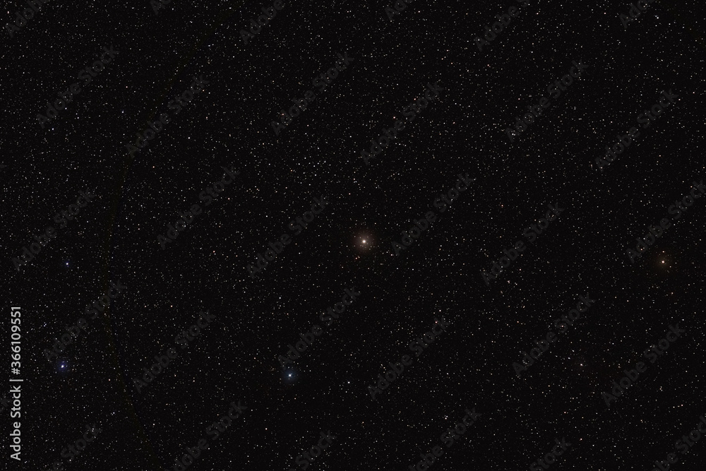 Many stars on night sky with bright Cebalrai meaning the shepherd's dog ...