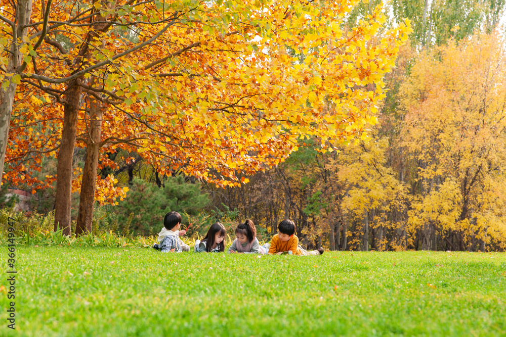 Lovely children playing on the grass Stock Photo | Adobe Stock