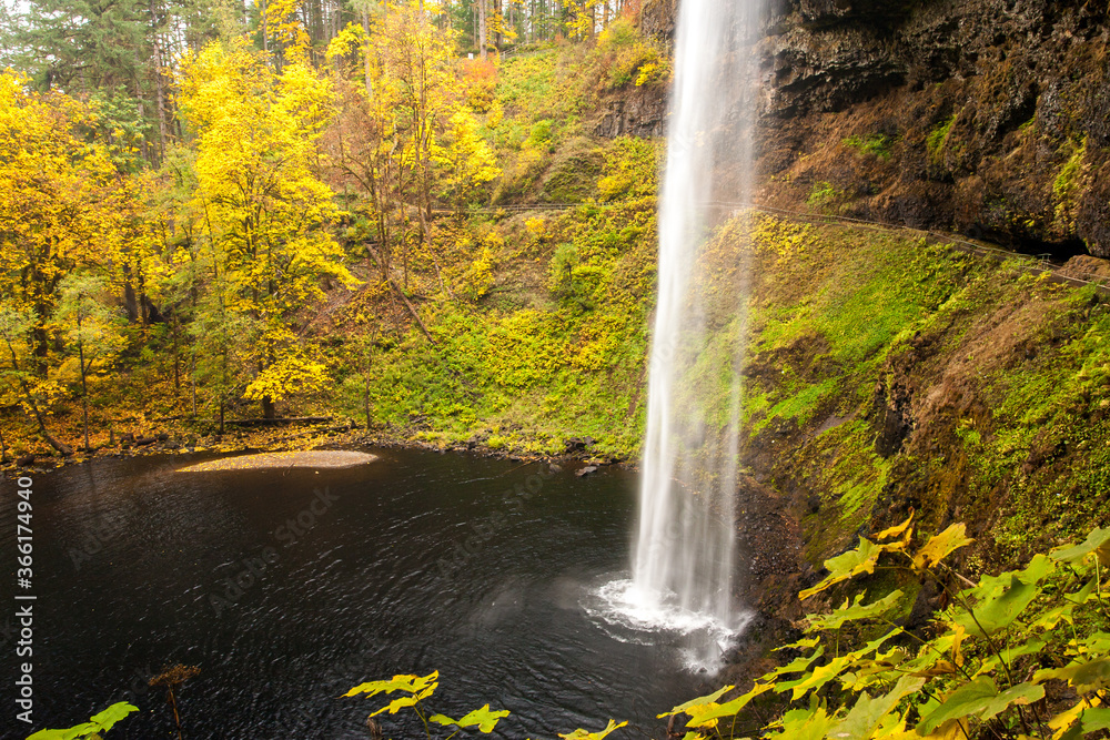 Trail under South Falls in Silver Falls state Park. Maple trees are ...