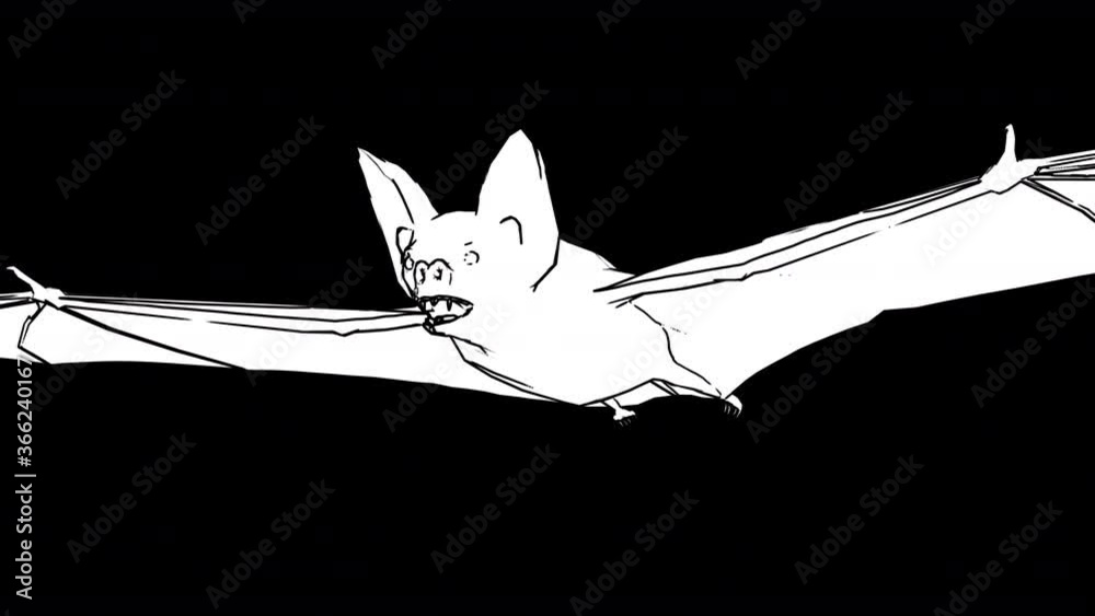 Seamless animation of a bat in hand drawn style cartoon isolated with ...