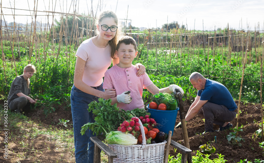 Brother and sister posing with harvest of ripe vegetables on farm field ...