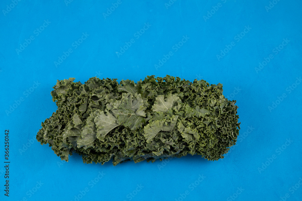 Organic kale (Italian kale, Tuscan kale, dinosaur kale, lacinato) on a ...