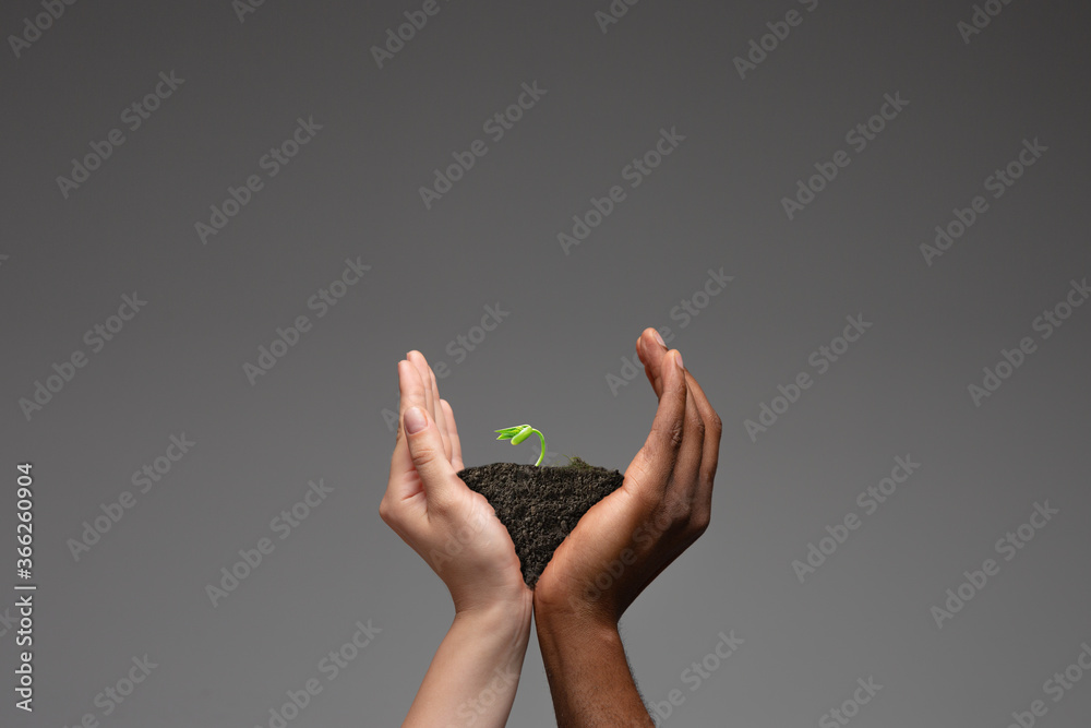 Human hands holding a fresh green plant, symbol of growing business ...