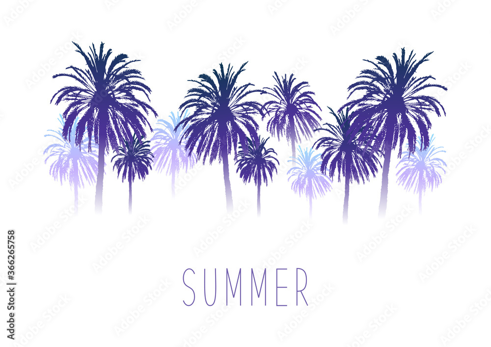 Tropical palm trees border isolated on white - summer background for ...