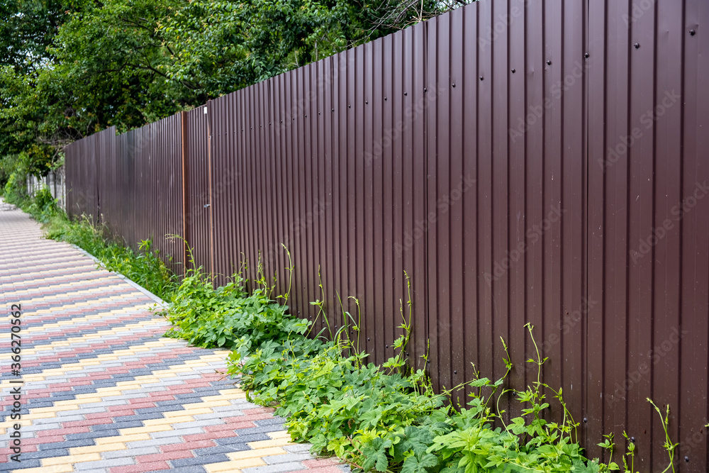 Red metal corrugated fence around the green garden. The texture of the ...