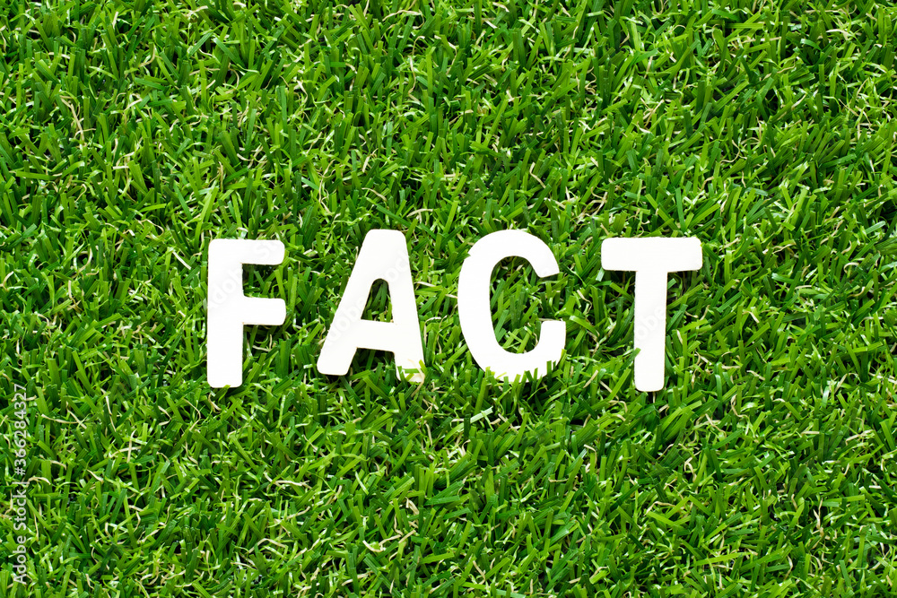Wood alphabet letter in word fact on green grass background Stock Photo ...