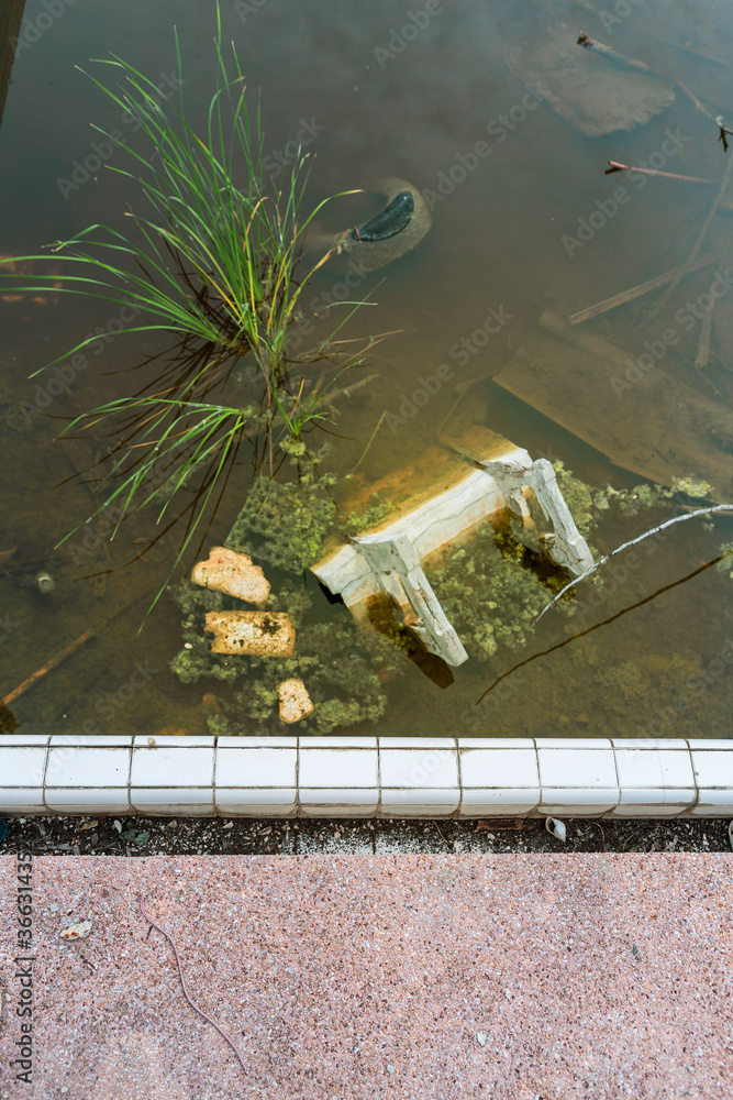 Dirty water, garbage in old swimming pool, environmental problem ...