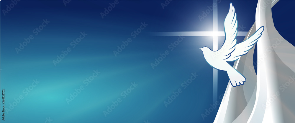 Purity Symbol Christianity