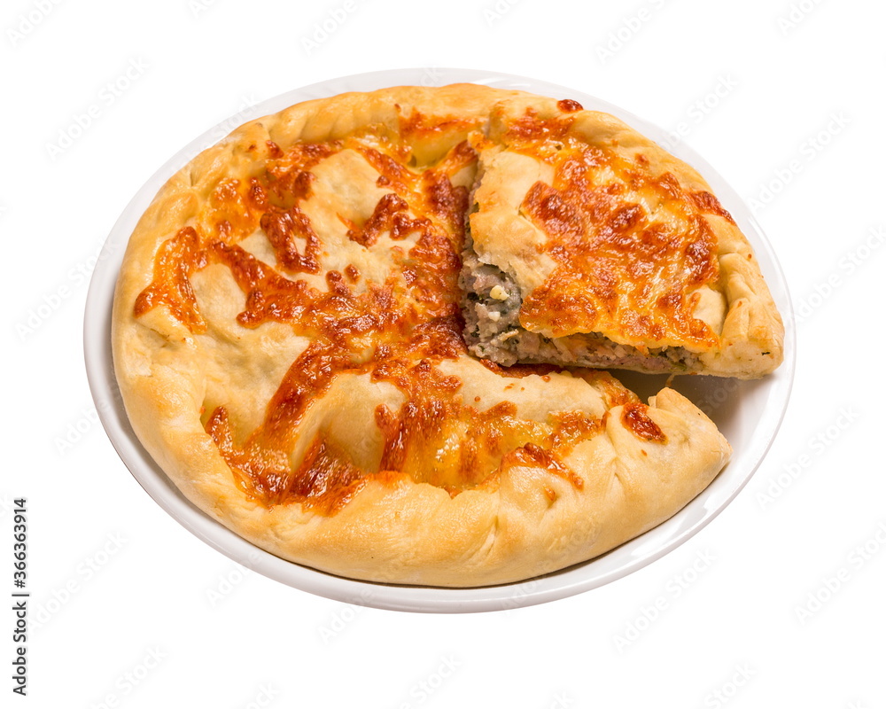 Khachapuri with meat and cilantro. Isolated image on white background ...