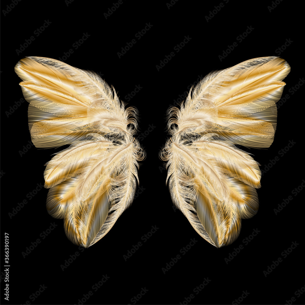 Butterfly wings with feathers. Modern abstract art Golden Feather ...