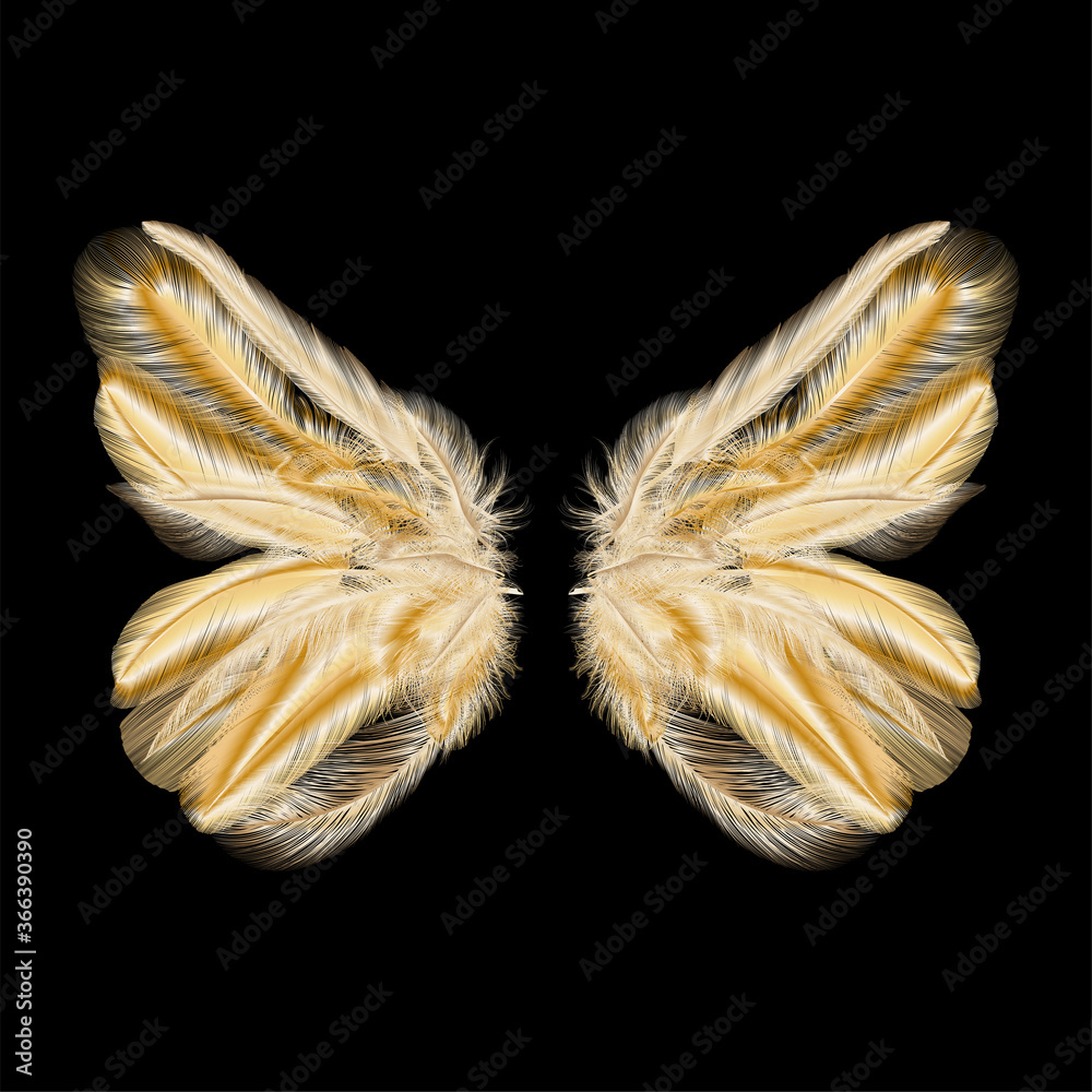 Butterfly wings with feathers. Modern abstract art Golden Feather ...
