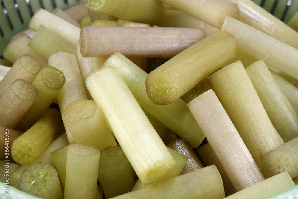 Pile of cutting fresh lotus stem (lotus root) in the plastic basket ...