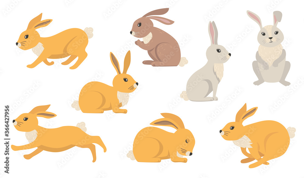 Cartoon Rabbit Sleeping