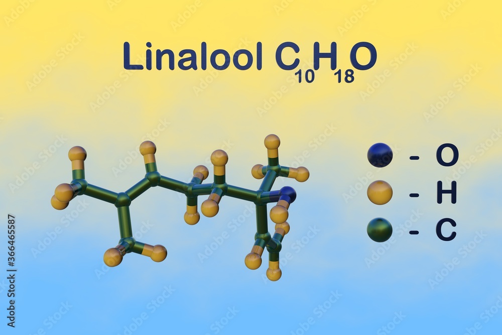 Structural chemical formula and molecular model of linalool, a monoterpene compound that is ...