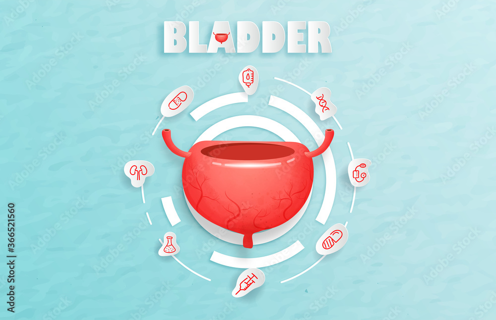 Human bladder and treatment paper cut style. A concept hospital for ...