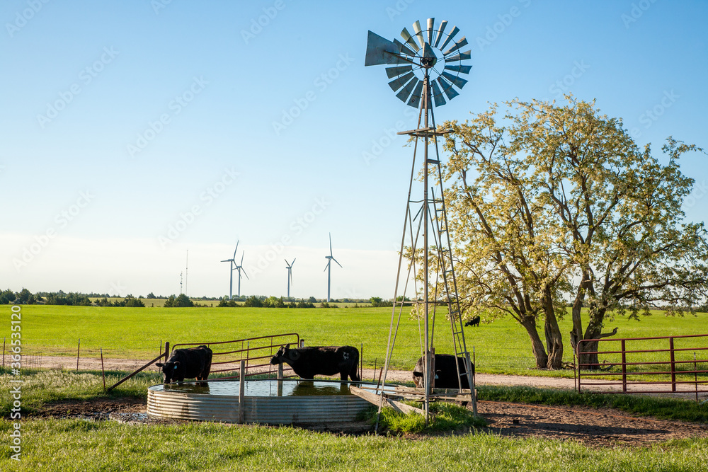 Power generating windmills and an oild style windmill pumping water for ...