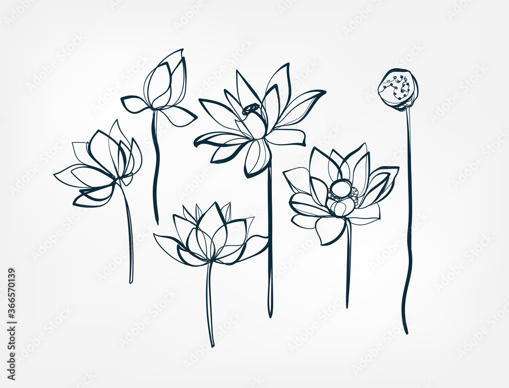 flower lotus line one art isolated vector illustration Stock Vector ...