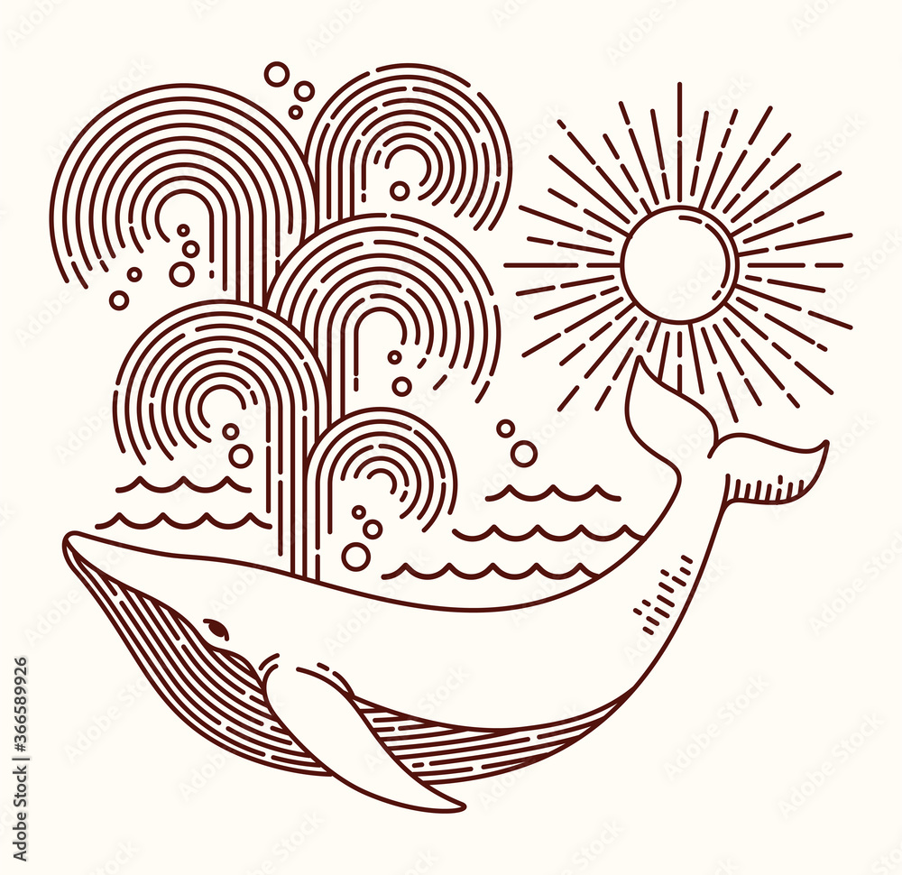 Hand drawn whale line illustration Stock Vector | Adobe Stock