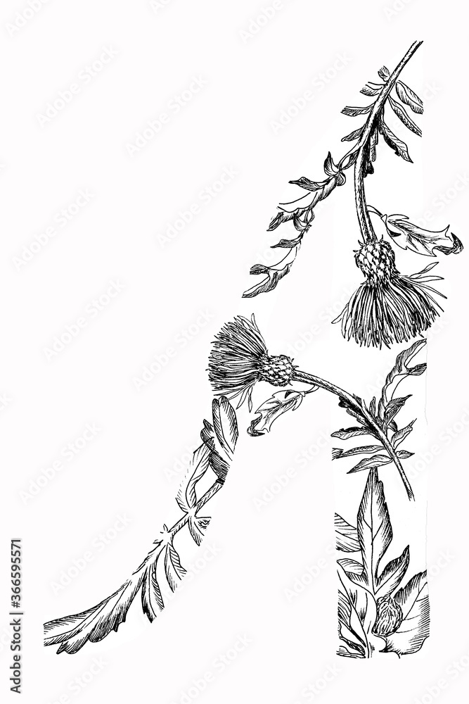 letters from the devil break; graphic black and white drawing of the ...