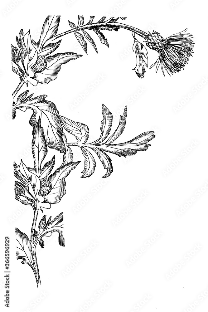 letters from the devil break; graphic black and white drawing of the ...