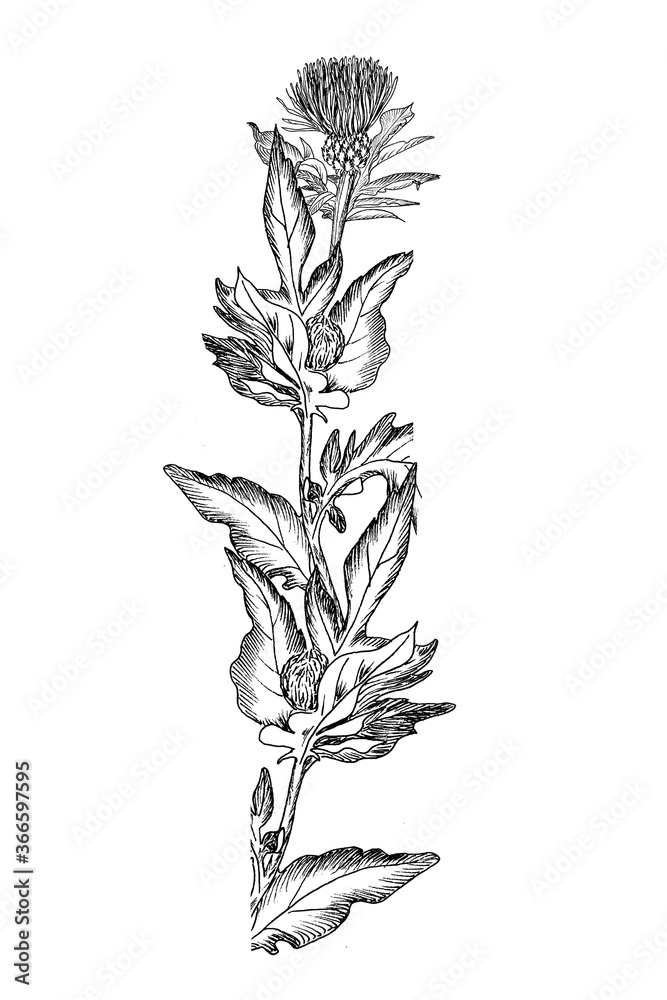 letters from the devil break; graphic black and white drawing of the ...