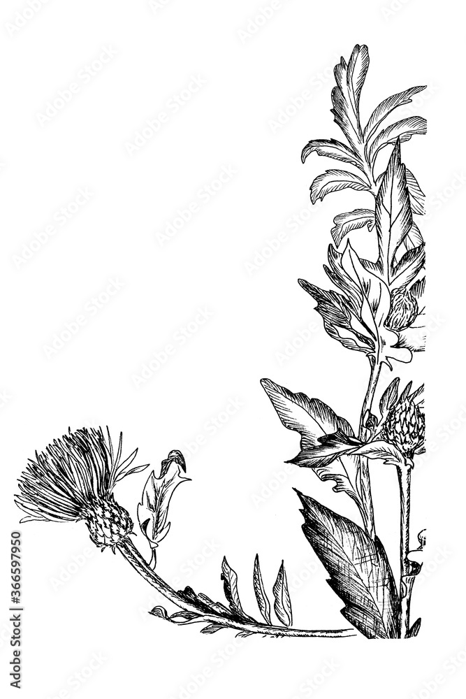 letters from the devil break; graphic black and white drawing of the ...