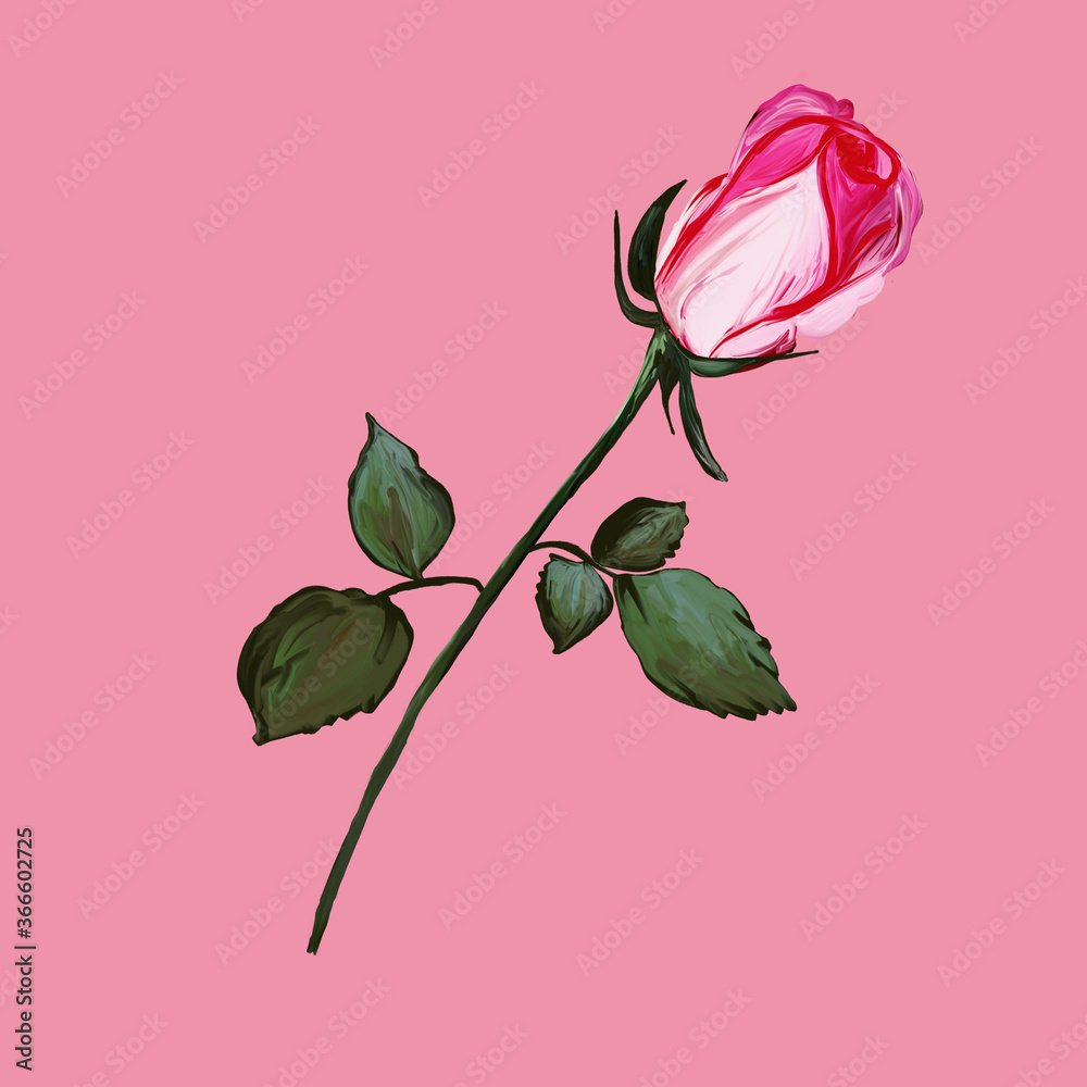 Realistic pink ross petals leaves bud on pink background. illustration ...
