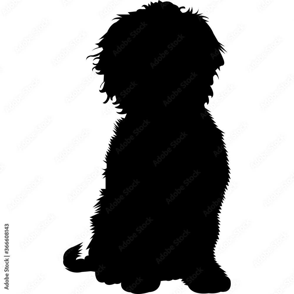 Cavoodle Silhouette Vector Stock Vector | Adobe Stock