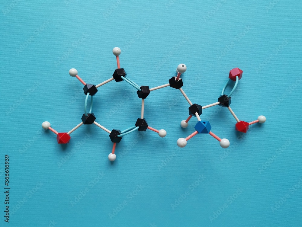 Molecular structure model of tyrosine molecule. Tyrosine (Tyr or Y) is ...