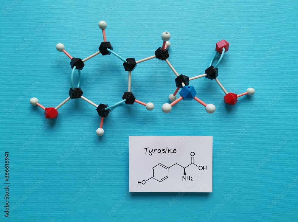 Molecular structure model and structural chemical formula of tyrosine ...