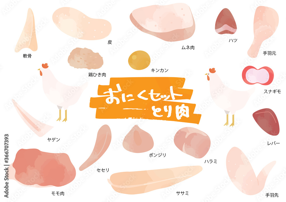 鶏肉のイラストセット Stock Vector | Adobe Stock