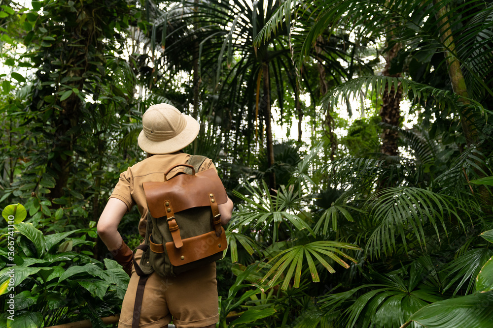 Woman botanist dressed in safari style in greenhouse, back view ...