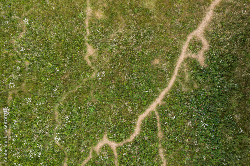 Bird's eye view from high flying drone of wild flower field in English ...