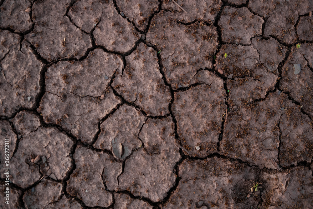 Barren soil pattern. Dry ground texture. Drought concept. Dry ground ...