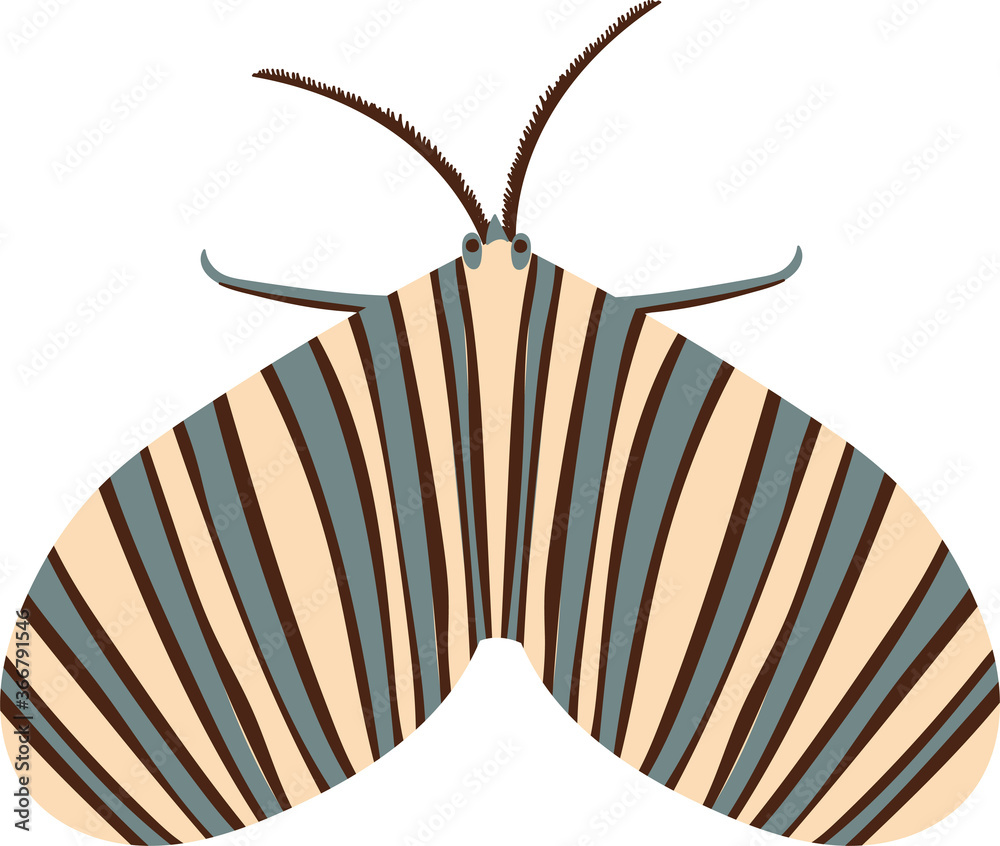 Moth butterfly clipart illustration hand drawn Stock Illustration ...