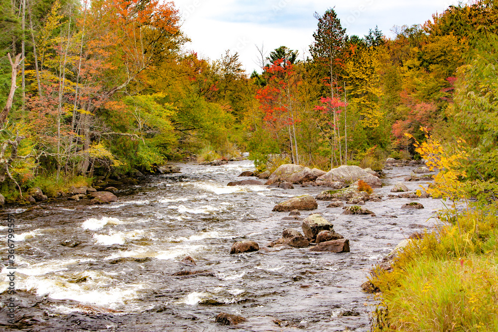 Mountain Stream In Fall