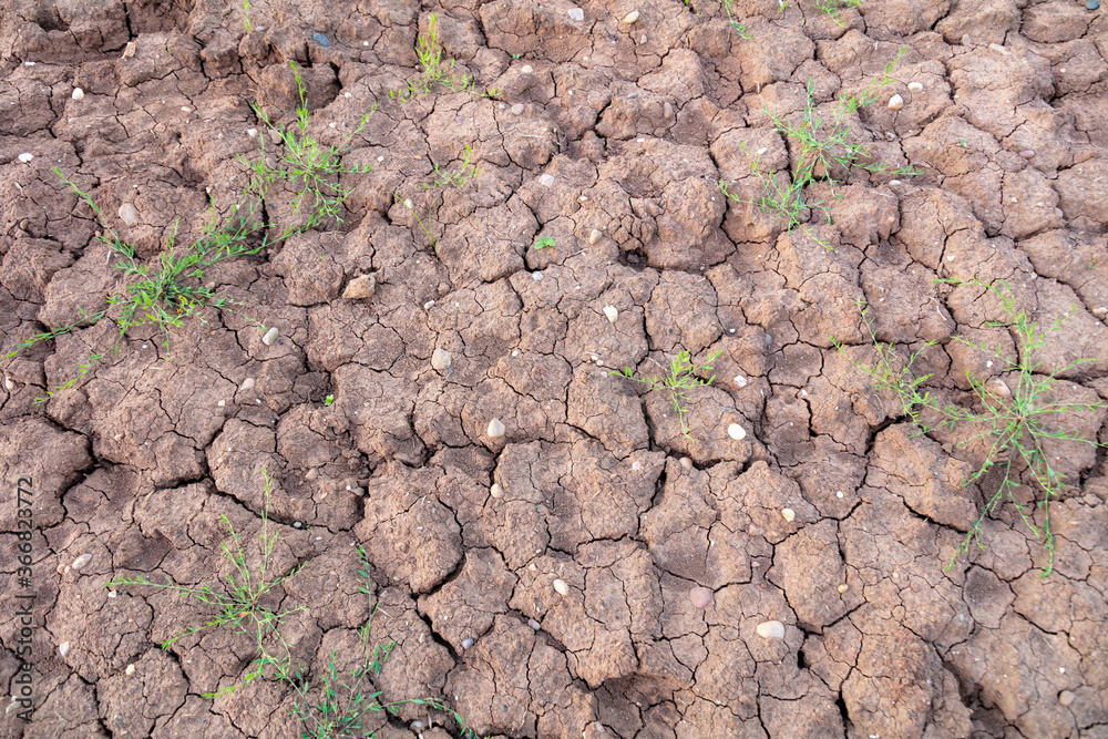 Waterless and deep textured dry riverbed in the English countryside ...