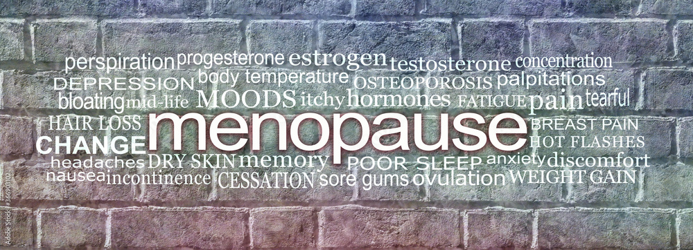 Words associated with Menopause Word Cloud - blue grey and red ...