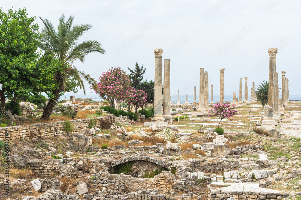 Roman ruins Colonnade in Al Mina archaeological site, Tyre, Lebanon ...