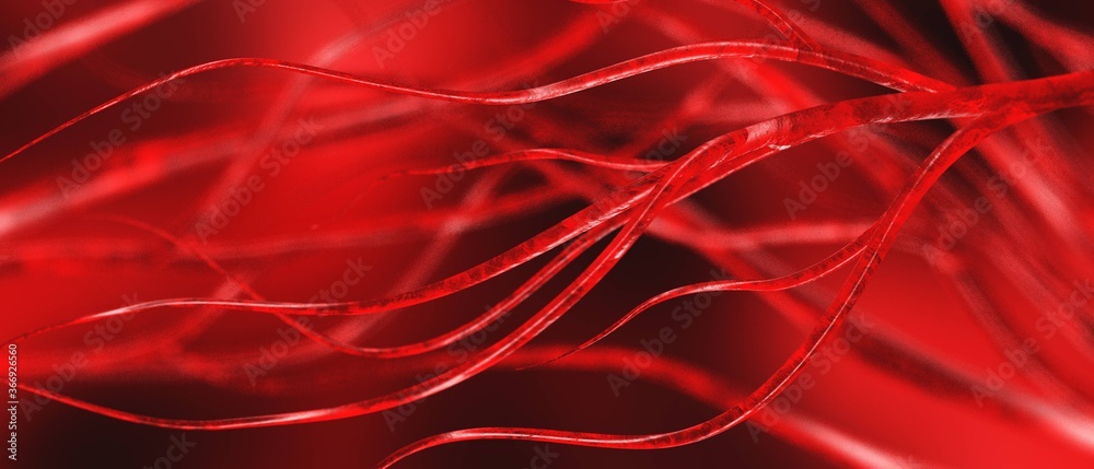 Vessels, arteries and veins, circulatory system, medical abstraction ...