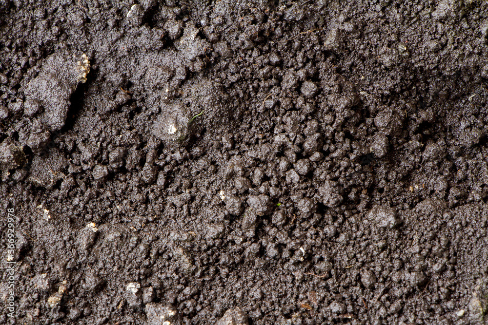 Fertile land background, soil texture. Close-up soil texture background ...